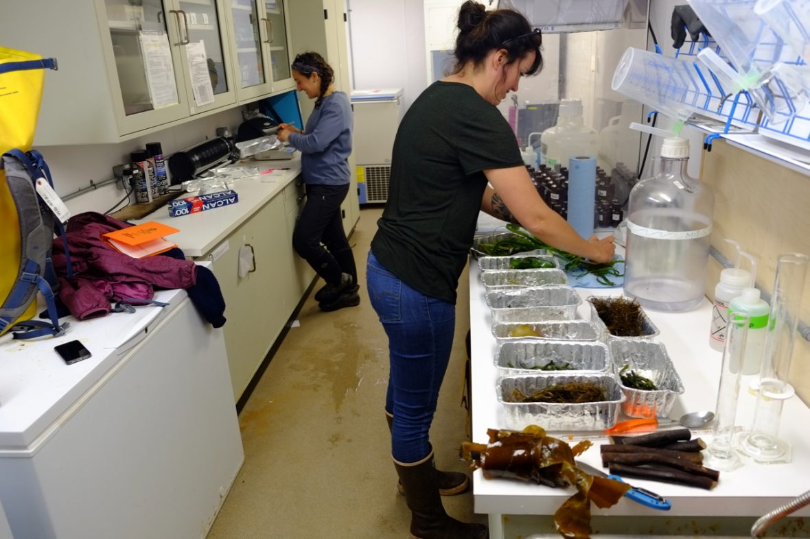 A Dry Measurement That’s Worth the Weight - Hakai Institute